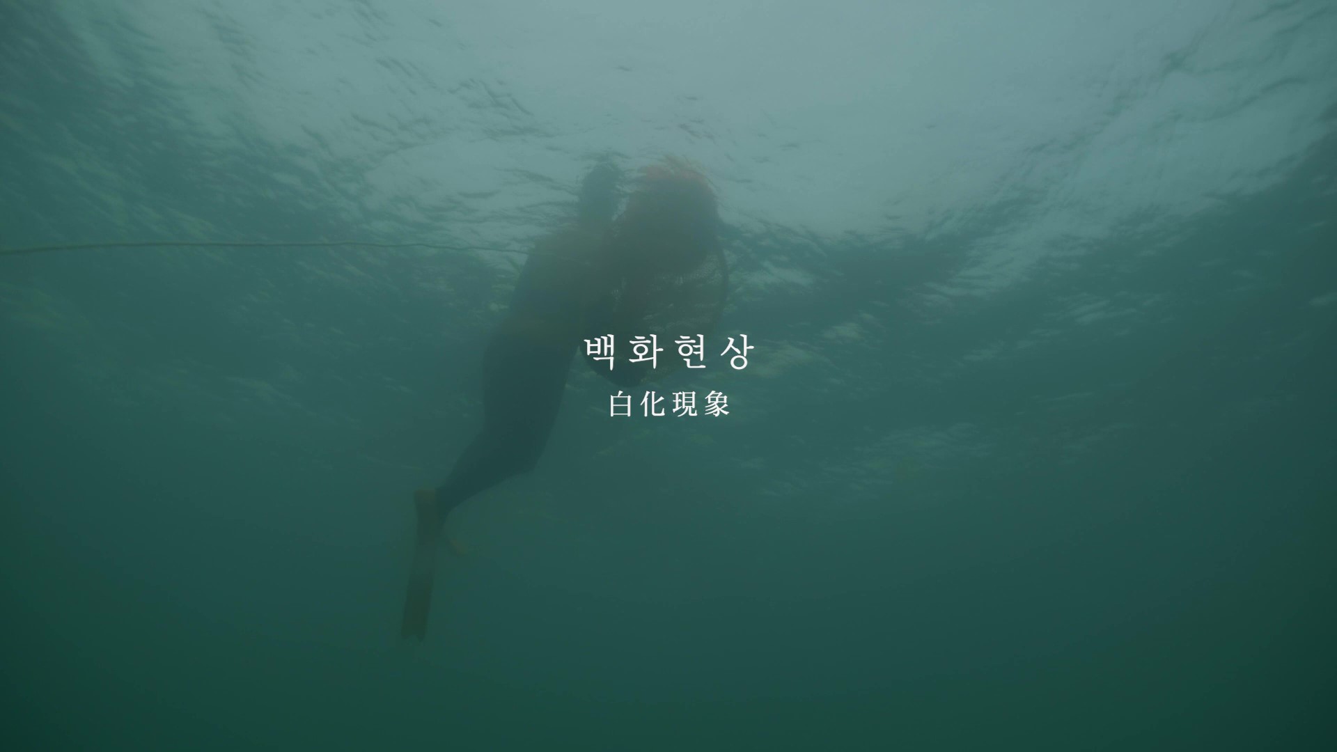 제로그램 | 로스트 블루