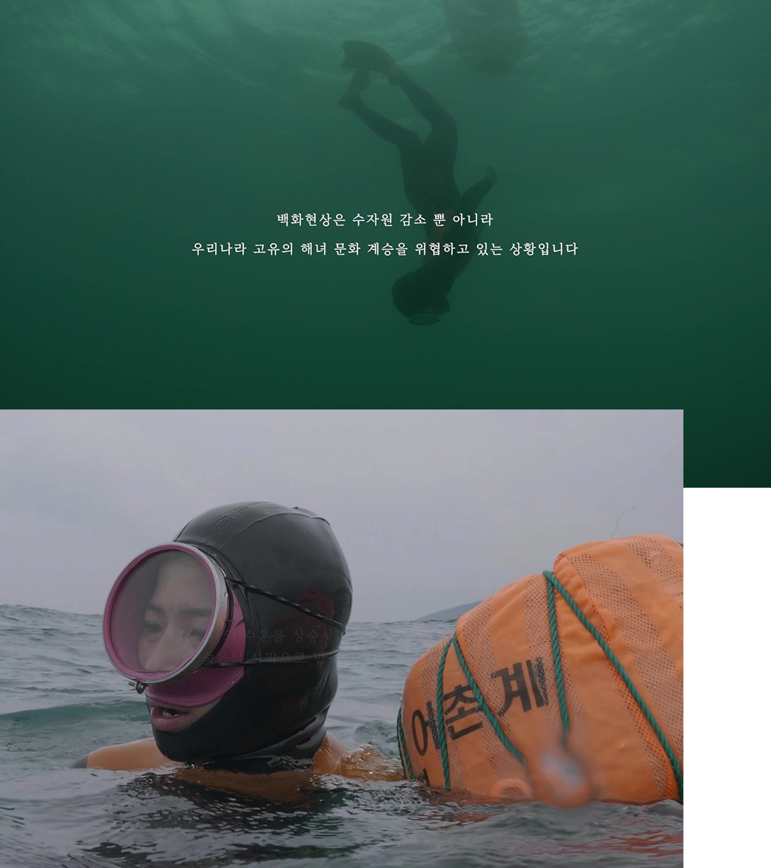 제로그램 | 로스트 블루