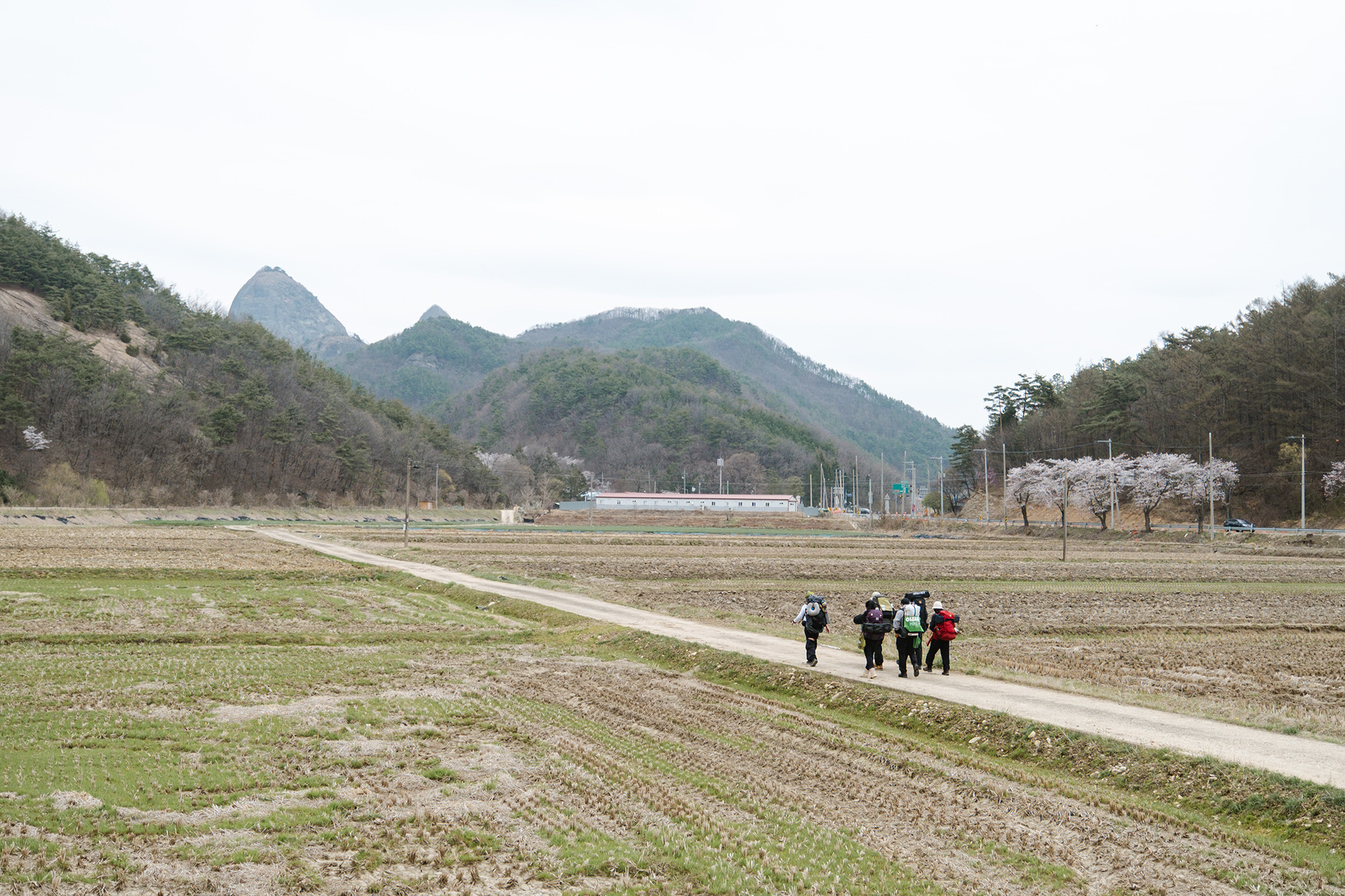 제로그램 | ZEROGRAM X CLEAN HIKERS